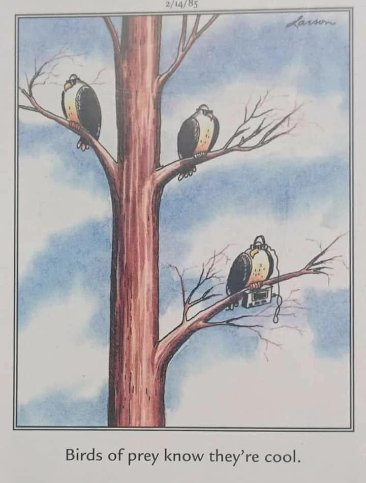 Possible Gary Larson? - Original Comic Art - CGC Comic Book Collectors ...