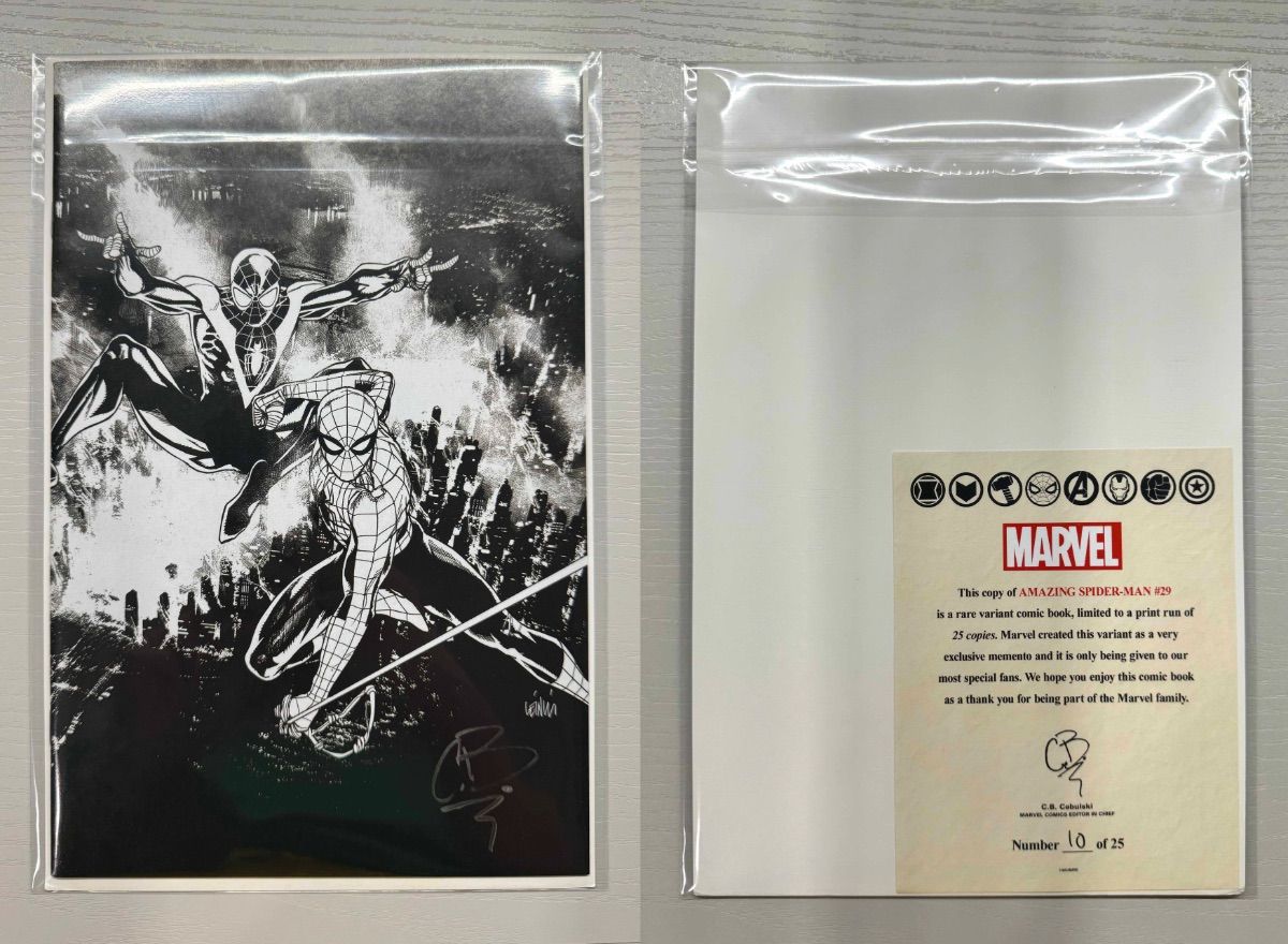 Rare variant of AMAZING SPIDER-MAN #29 issue - Newbie Comic Collecting ...