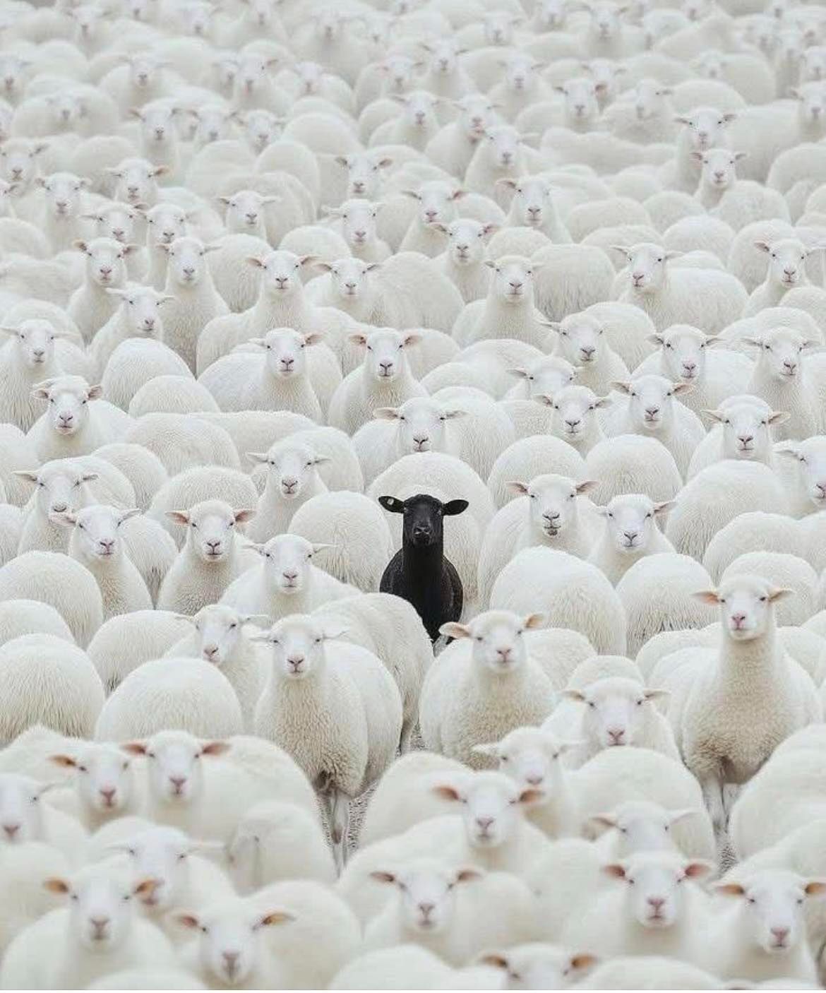 Show us those 20 years on these forum members - Comics General - CGC ...