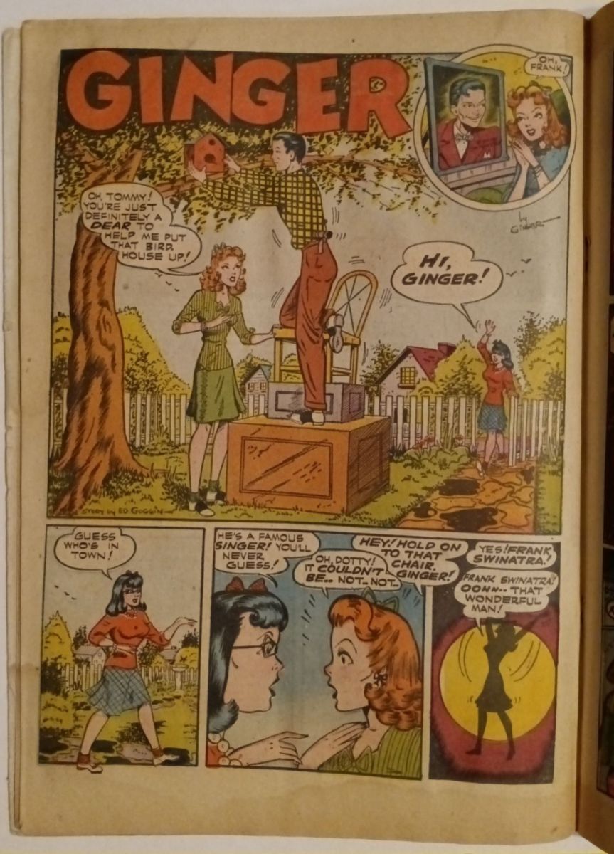 The Wild Wacky World of Esoteric Oddball Comics! - Page 17 - Golden Age ...