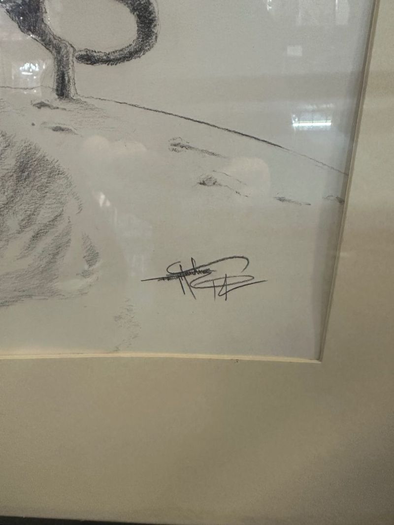 Star Wars OA - Original Comic Art - CGC Comic Book Collectors Chat Boards