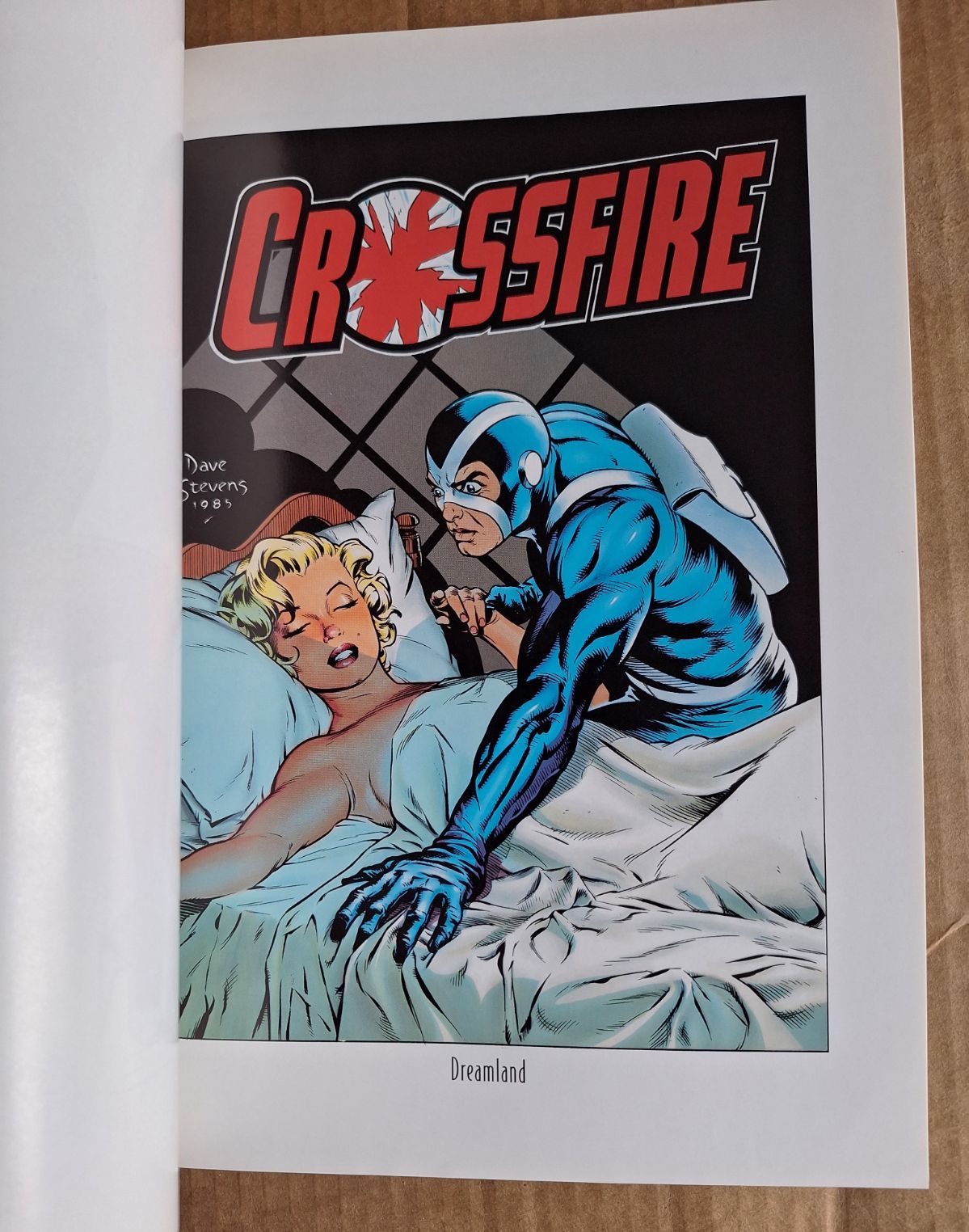 Dave Stevens and Barry Windsor-Smith art books portfolio - Golden ...